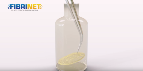 Home - Where Peak Innovation Meets the Future of Healing