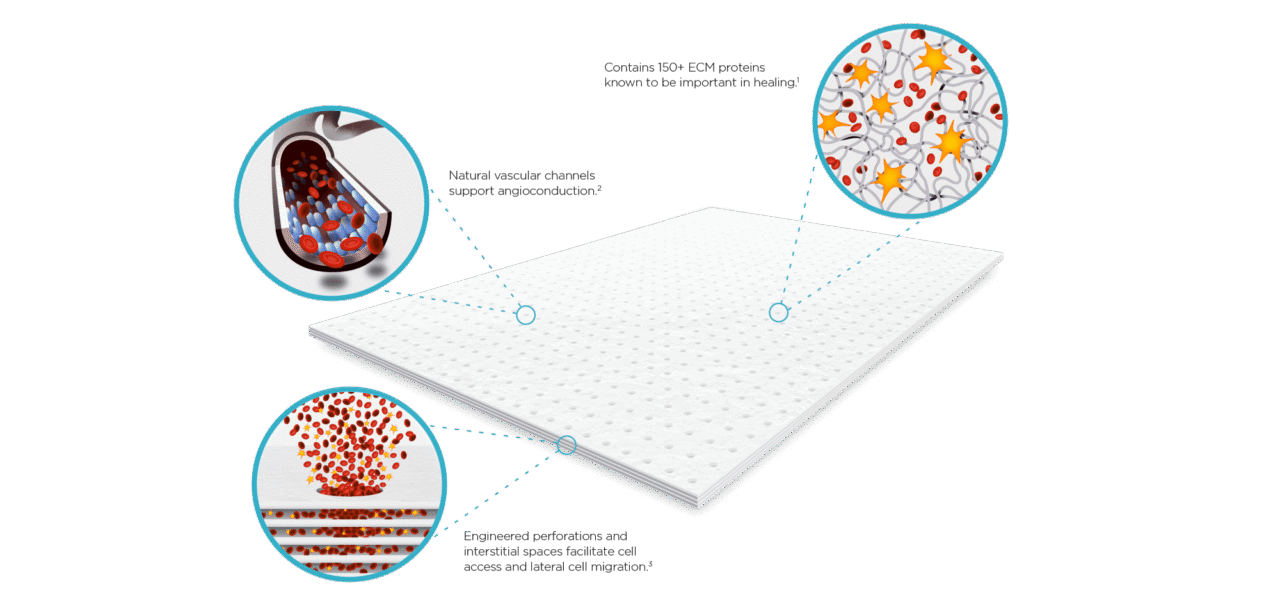 Myriad Matrix™ - Royal Biologics